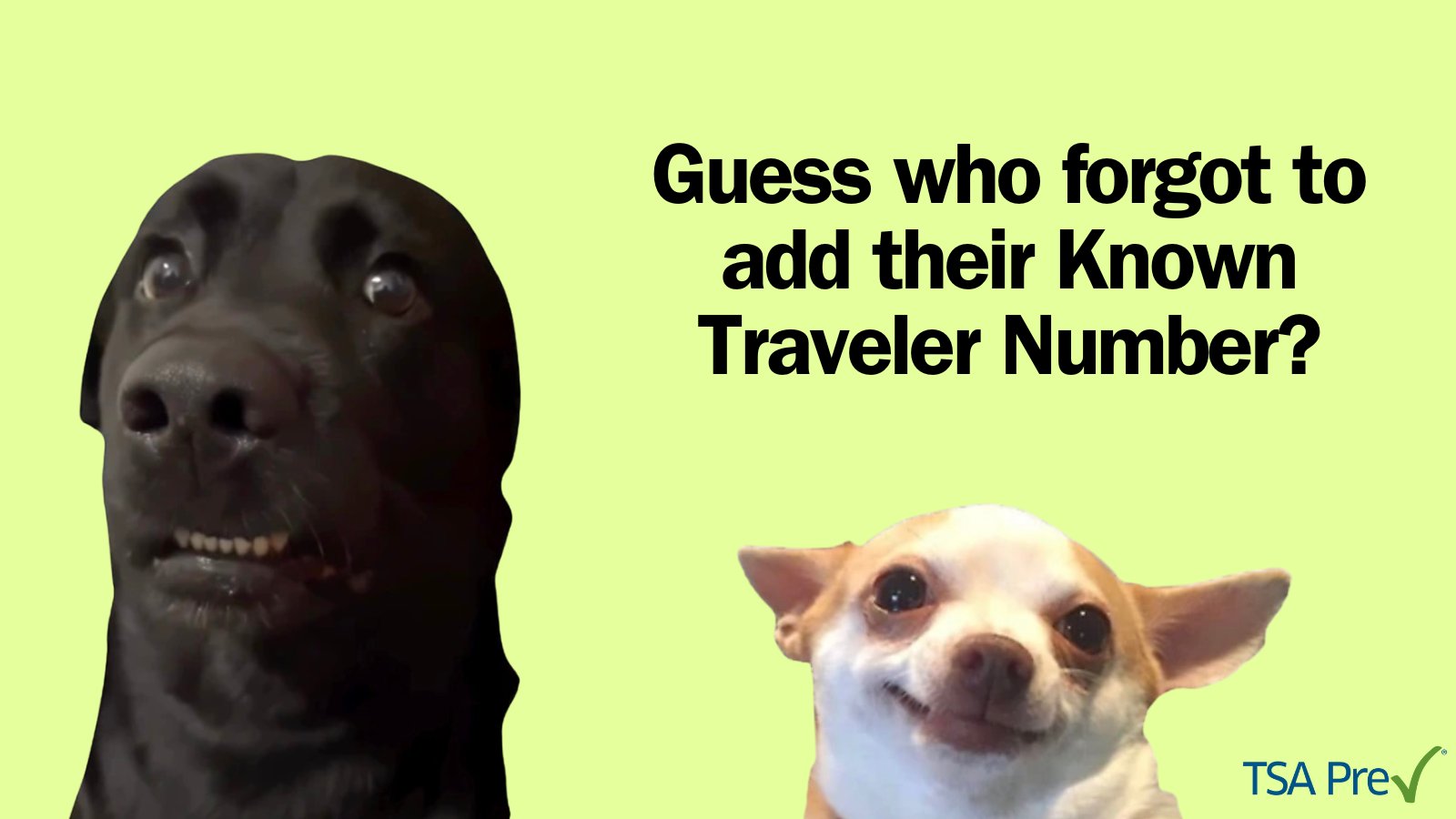 Tsa Precheck Memes Airport... Transportation Security Administration