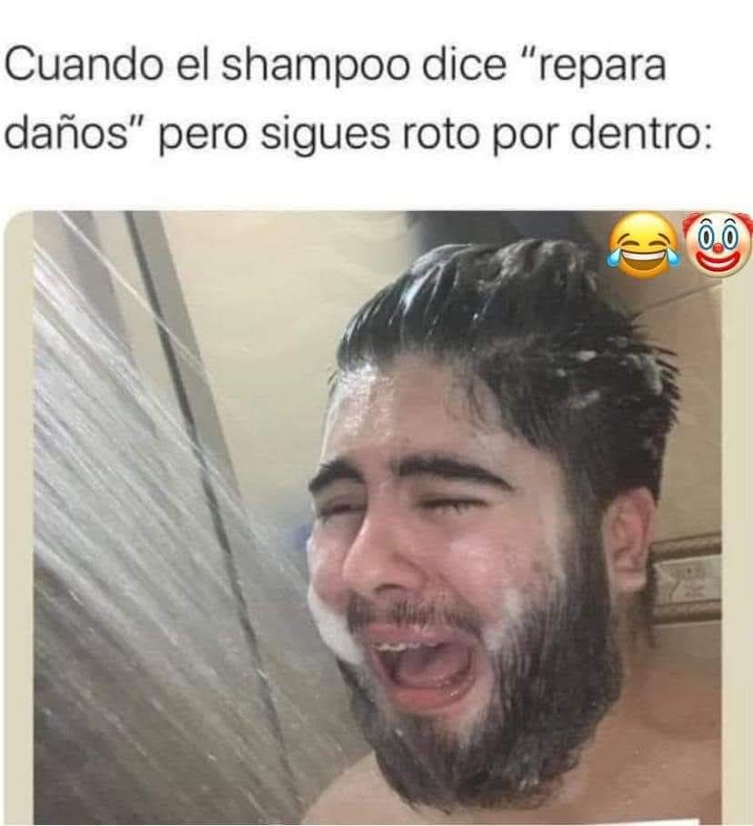Memes Perazzo Lucas Ezequiel Perazzo Argentina | Perfil Profesional
