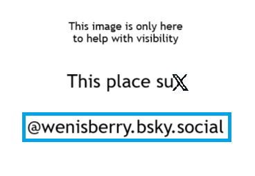 @wenisberry.bѕkу.social (@wenisberry) / Posts / X