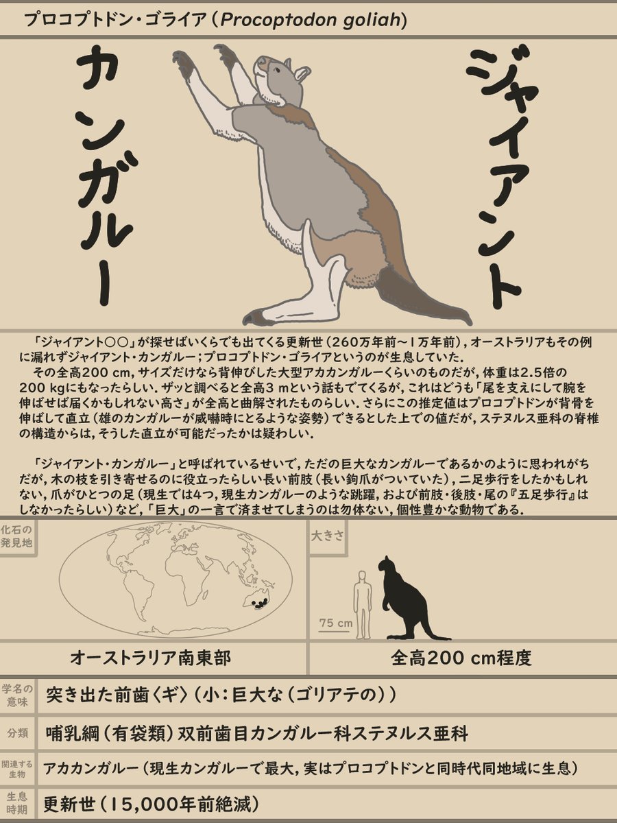 13 ジャイアント・カンガルー!プロコプトドン・ゴライア|やんわりッ古生物 @kogane_dinodraw #not」こがねの漫画