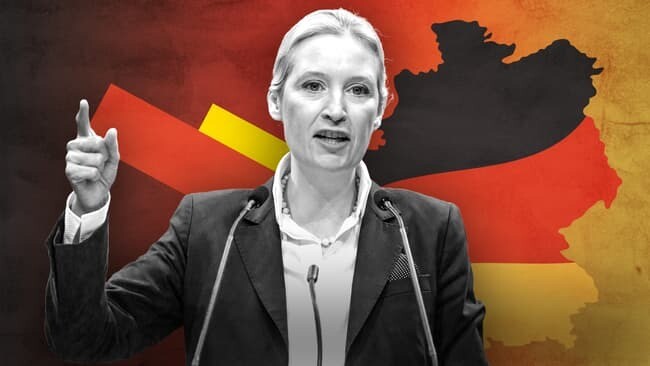 Alice Weidel, AfD Leader Married to a Sri Lankan, Raises Two Children ...