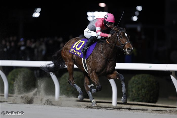 競馬ラボ on X: 競馬ラボ on X: