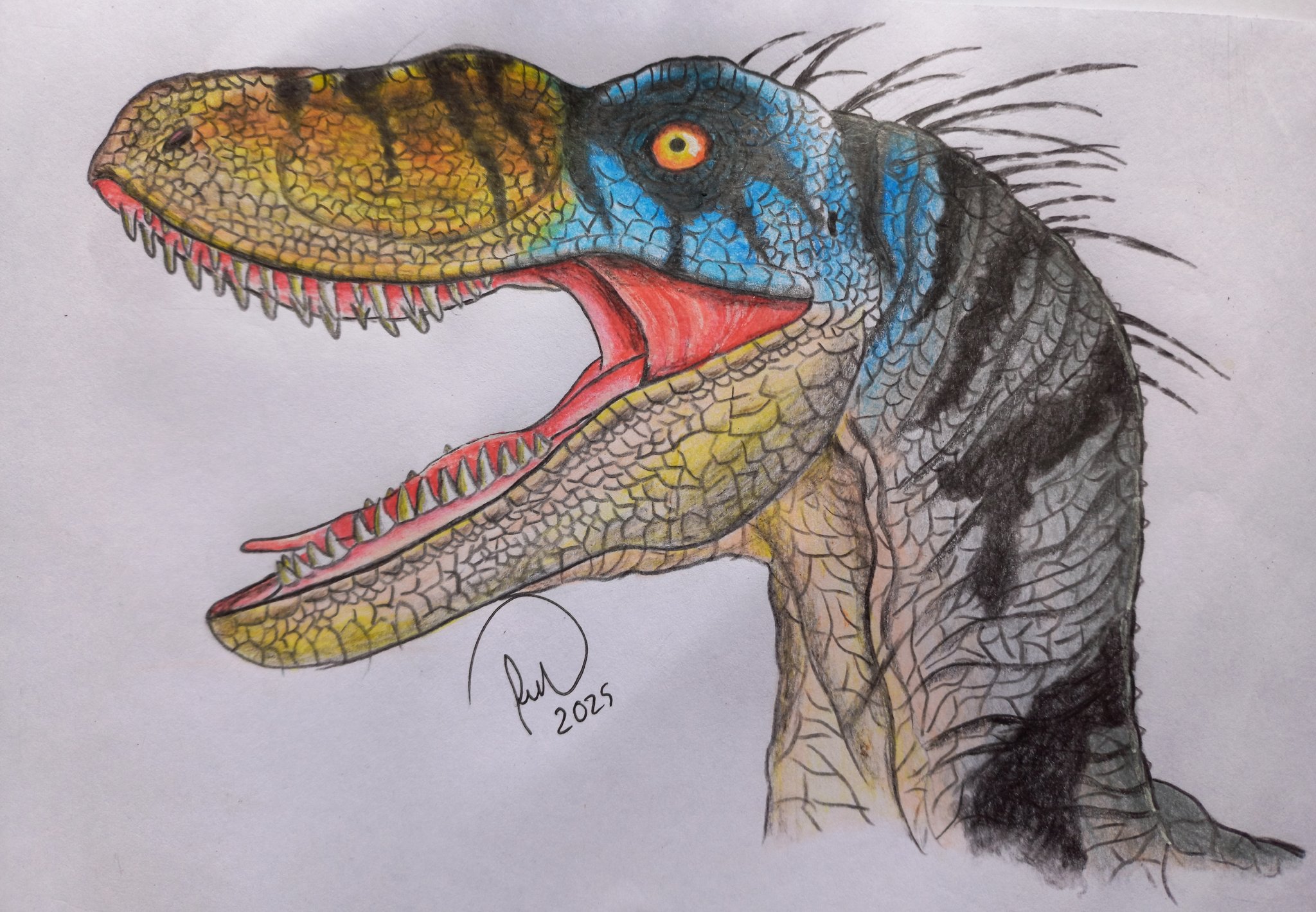 Jurassic Park Velociraptor Drawing
