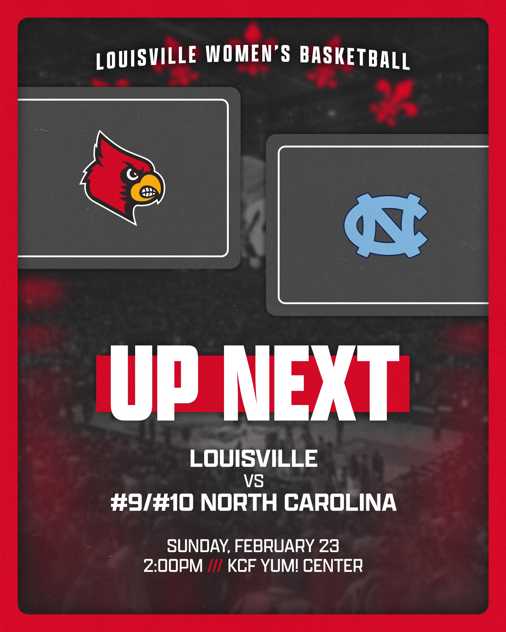 University of louisville women's basketball store