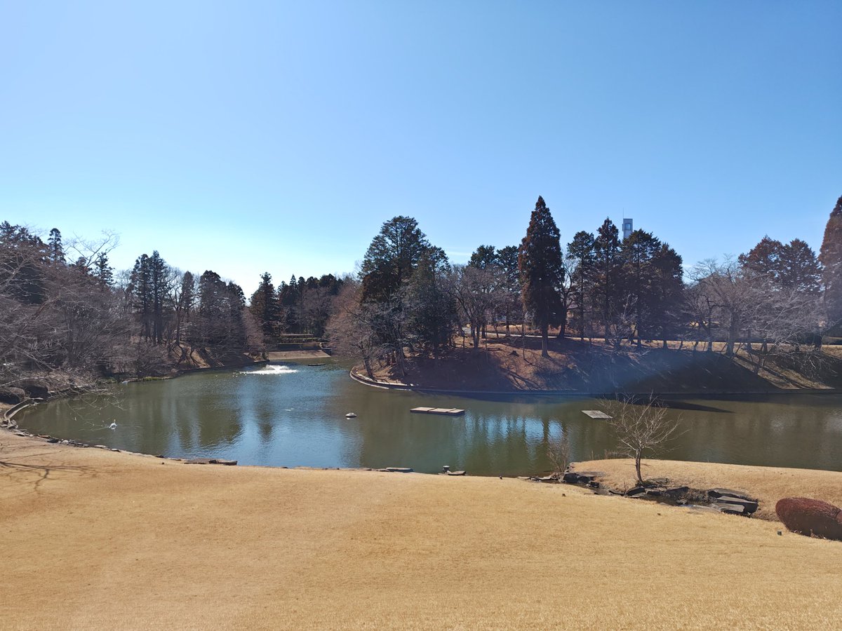 八月のペンギン(@August_penguin) - Twilog (ツイログ)