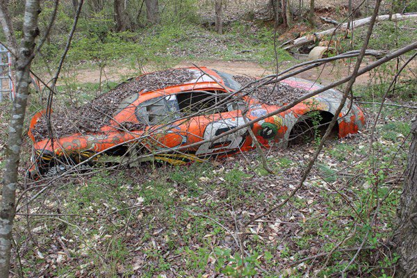 Dale Juniors Car Graveyard