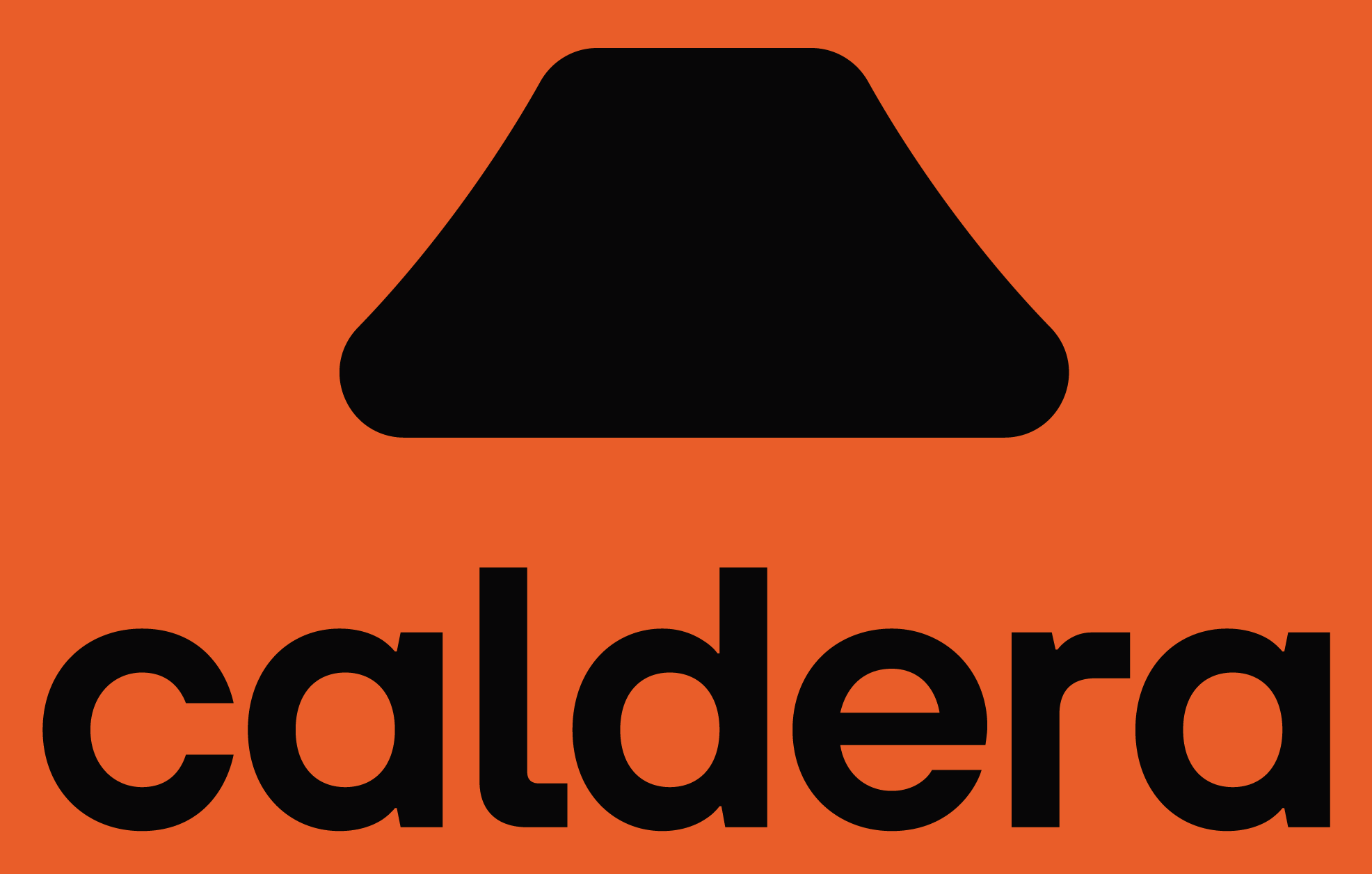 Caldera Logo Caldera Spas 100 ( New Style ) Replacement Filter,