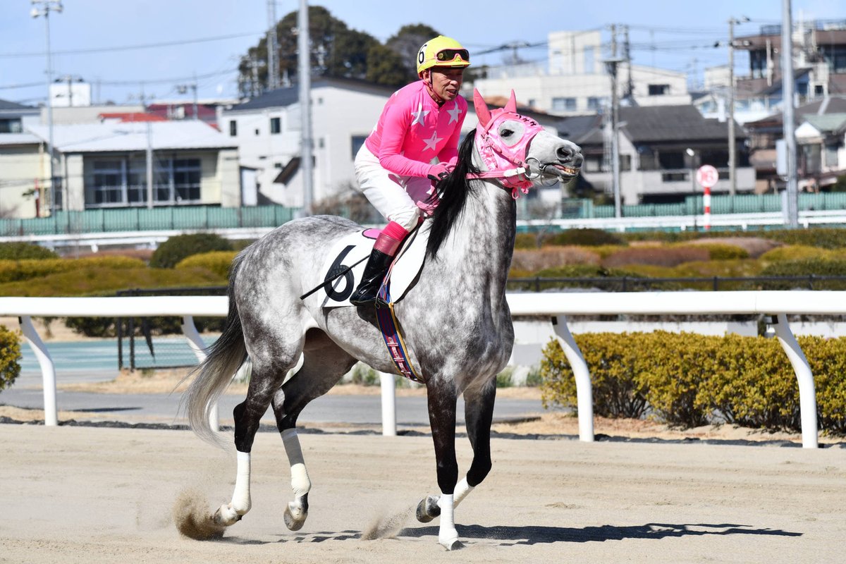 茶畑相談役(@chabata_k) - Twilog (ツイログ)