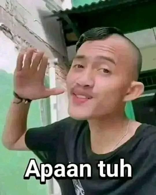 Memes Apaan Tuh
