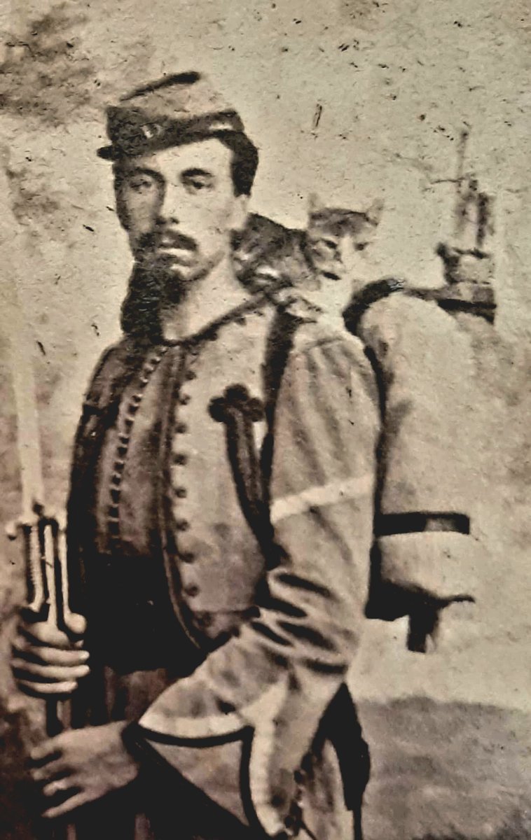 Papal Zouaves Wikipedia Profile For Papal Zouave International