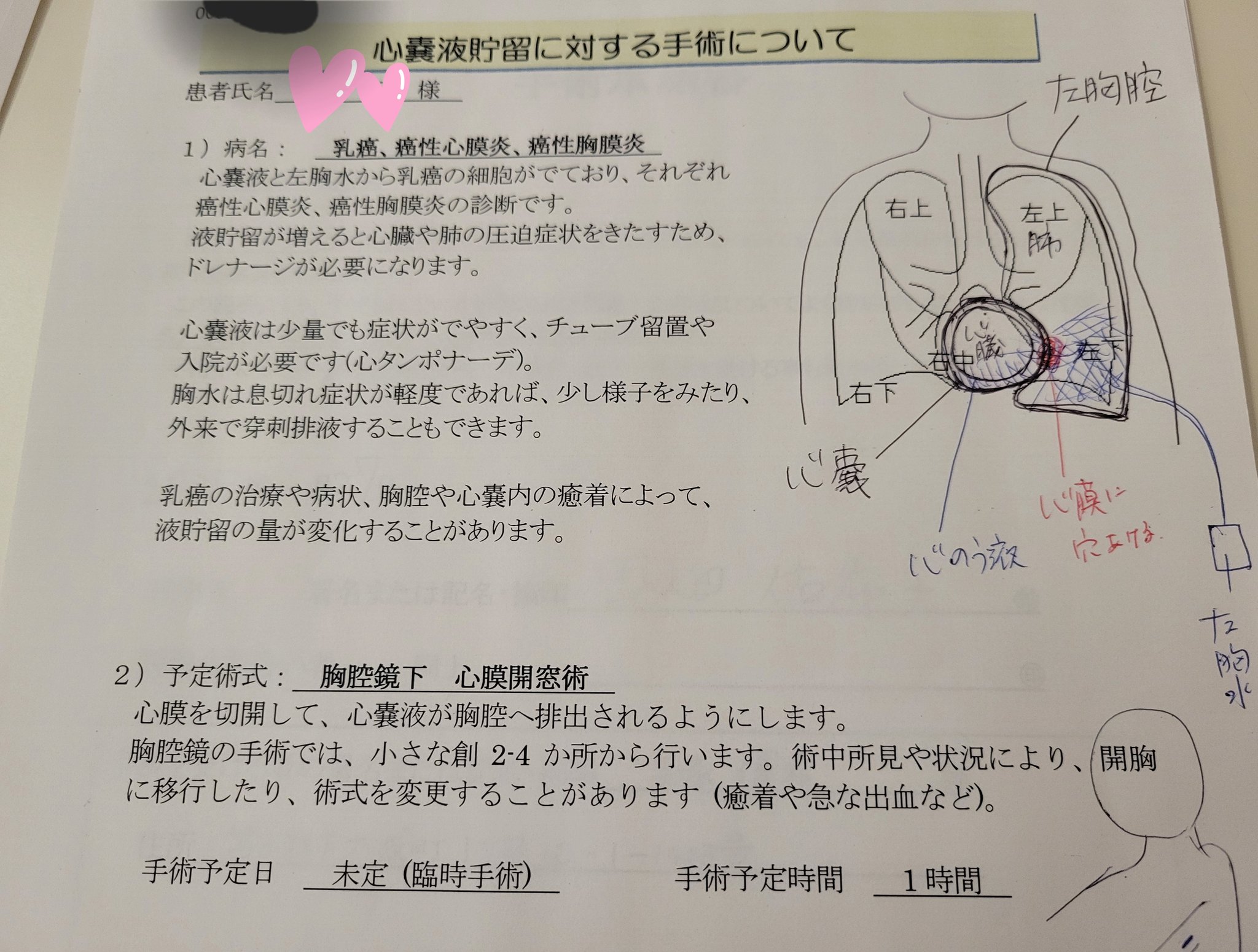 ゆきちむ。 (@9Wl0n52WwY7N1p7) / X ゆきちむ。 (@9Wl0n52WwY7N1p7) / X