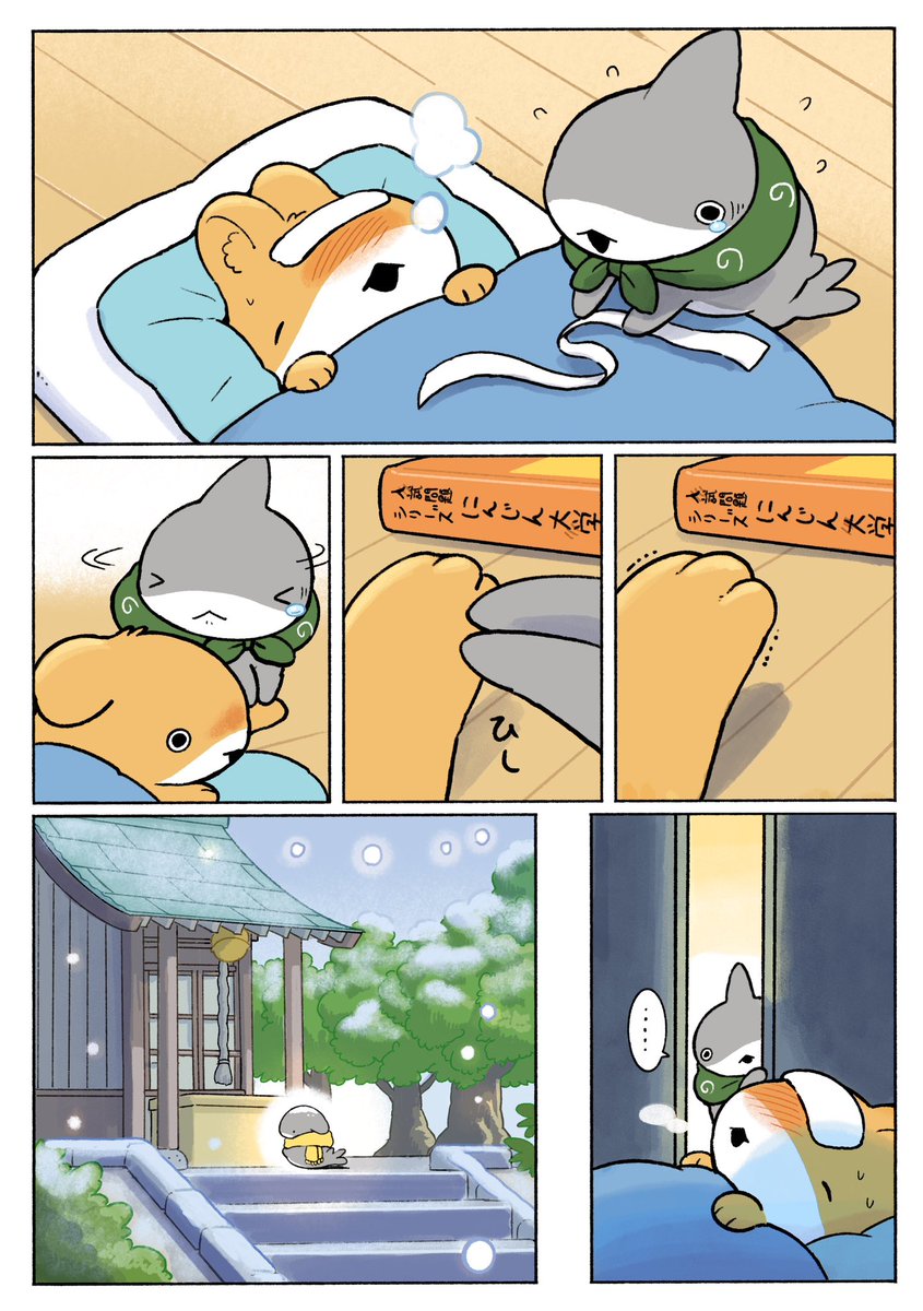 子ザメとうさめちゃん🤧 1/2 | ペンギンボックス@子ザメ6巻&映画 子ザメとうさめちゃん🤧 1/2 | ペンギンボックス@子ザメ6巻&映画