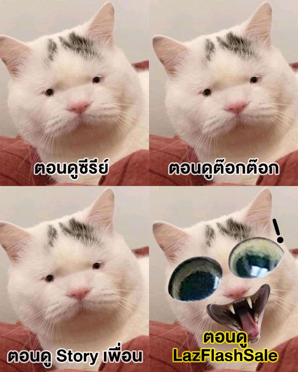 Lazada Thailand(@LazadaTH ):😻 น้องเหมียวถึงกับต้องอึ้งตาแตก เพราะ ...