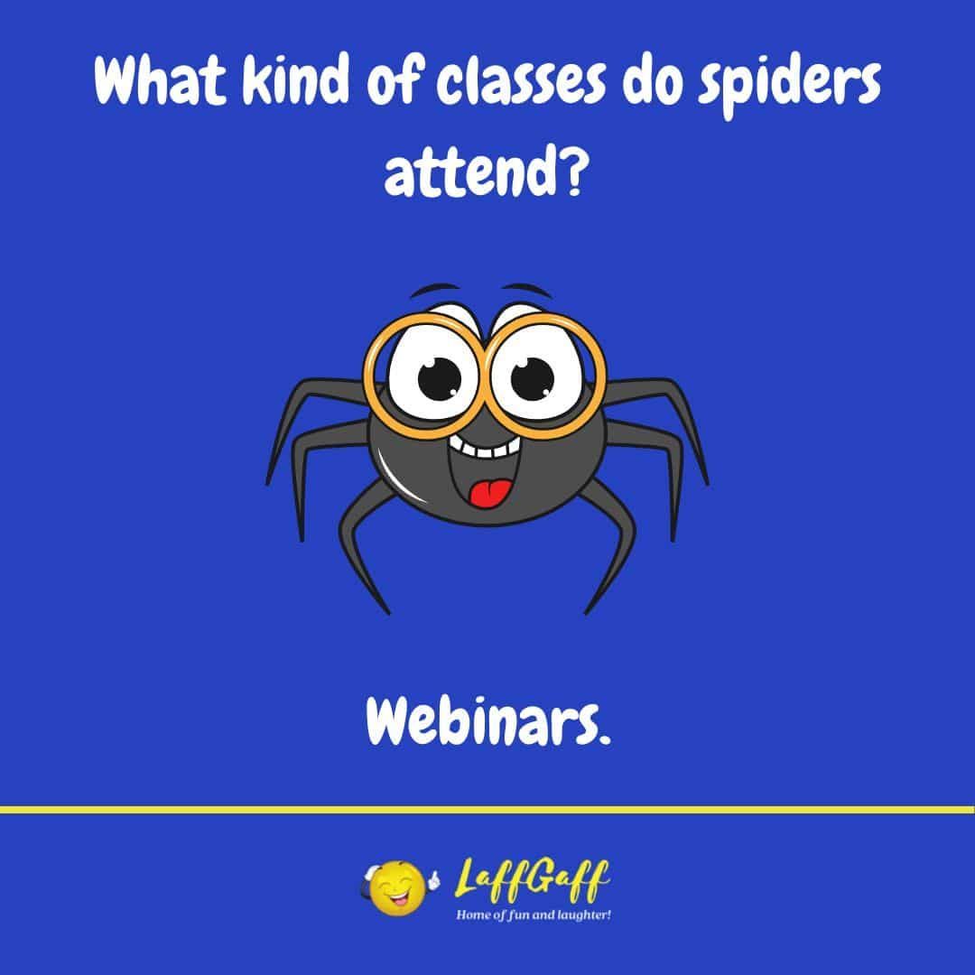 Friendly House Spider Memes Scumbag Spider Memes & GIFs Imgflip