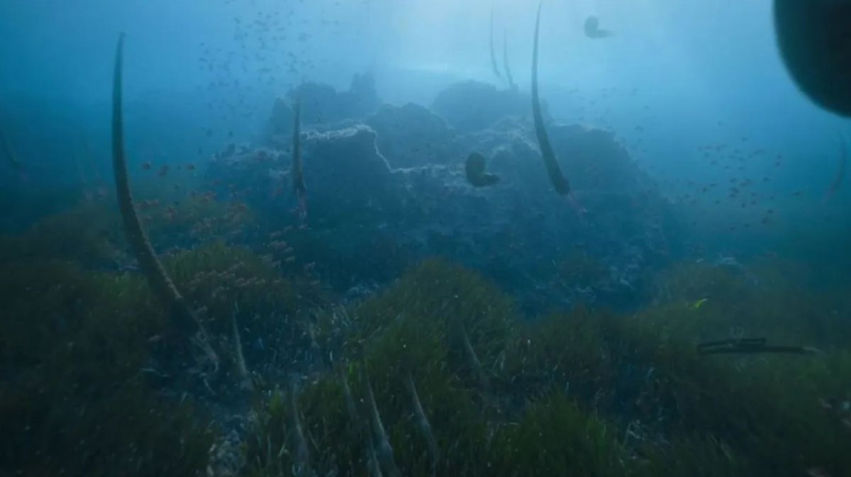 Thread by @TetZoo on Thread Reader App – Thread Reader App