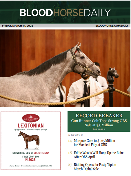 Bloodhorse Tapit Tapit's World Features BloodHorse.com