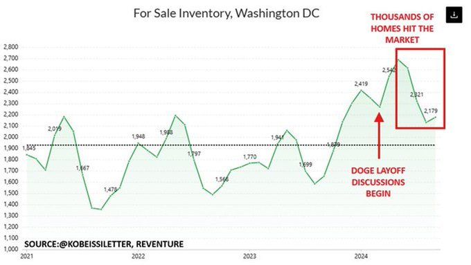 DOGE Layoffs by Elon Musk Threaten Social Security Benefits Amid ...