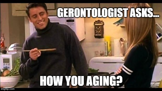Gerontology Memes Rapid Aging Animated Gif Maker Piñata Farms The