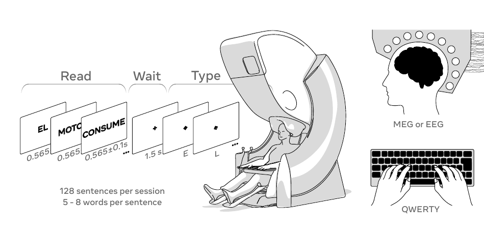 Meta FAIR and Basque Center's Brain2Qwerty Achieves 68% Accuracy in Non ...