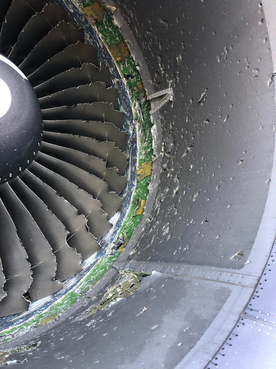 民 党類ですがユンユンが釈放されるようです