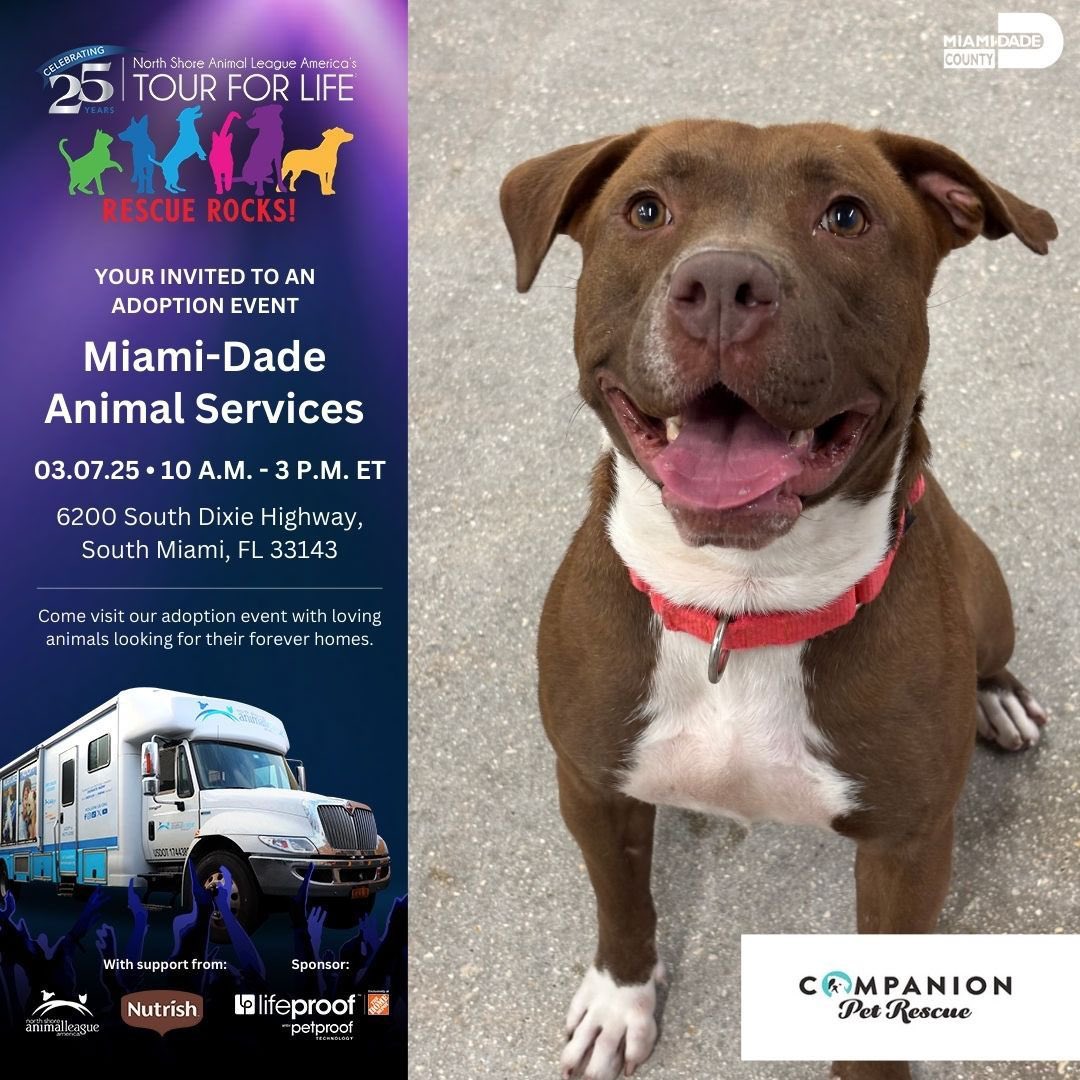 Miami Dade County Animal Shelter Annette Jose Director Miami Dade