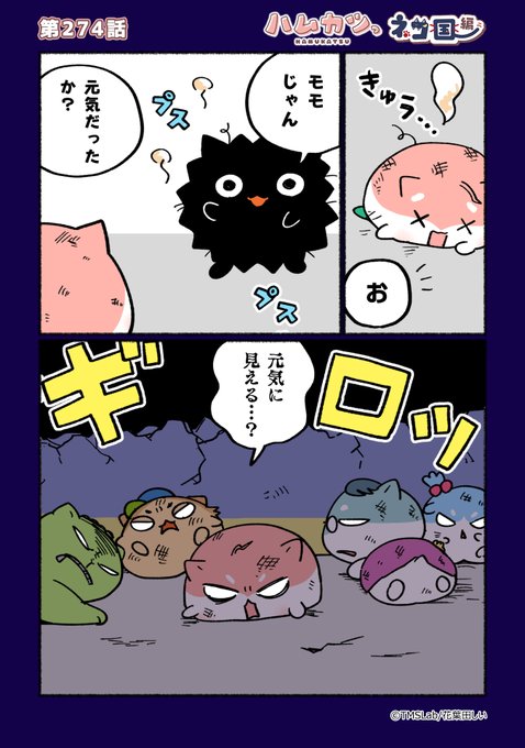 ╭━━━━━━╮ ネコ国編 ╰━ v ━━━━╯ 「モモじゃん .. | TMSLab(トムスラボ) さんのマンガ | ツイコミ(仮)