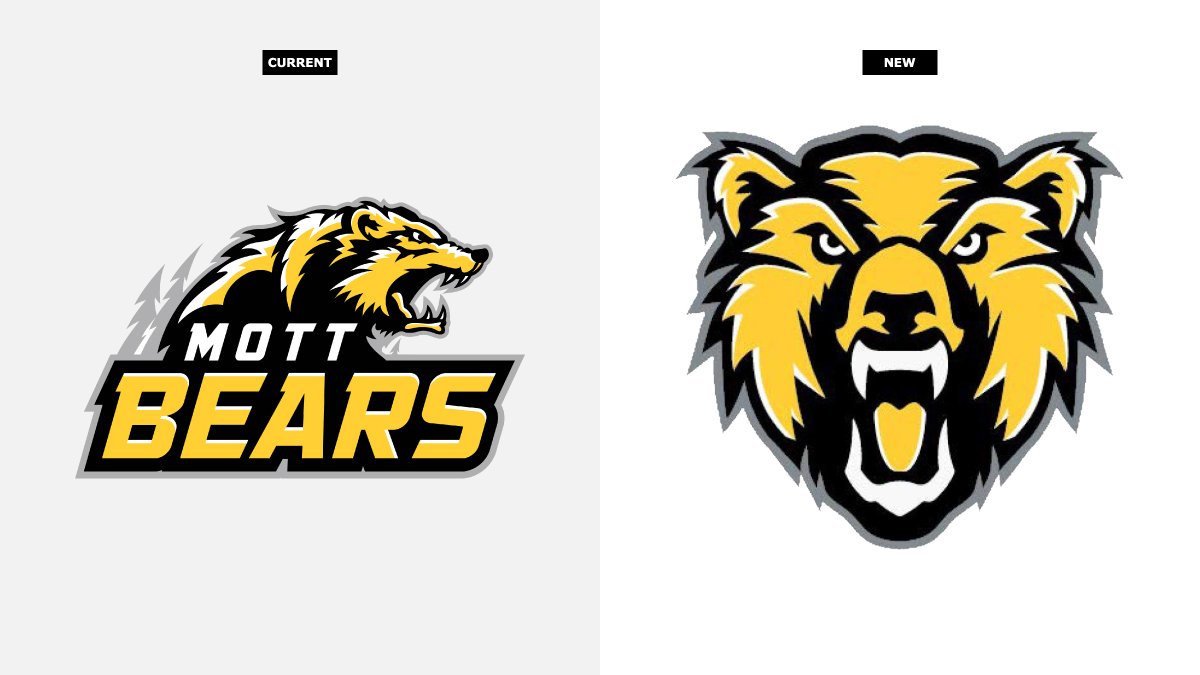 Images Of The Bears Logo