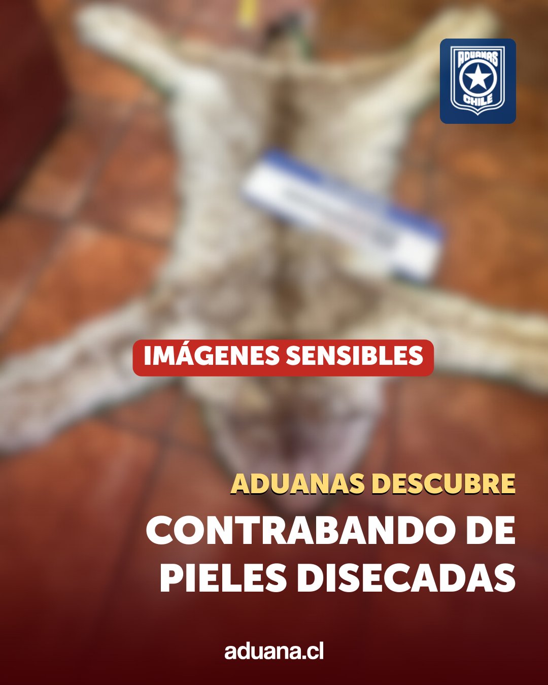 Memes Contrabando Career Memes Of The Week: Cyberspy Careers