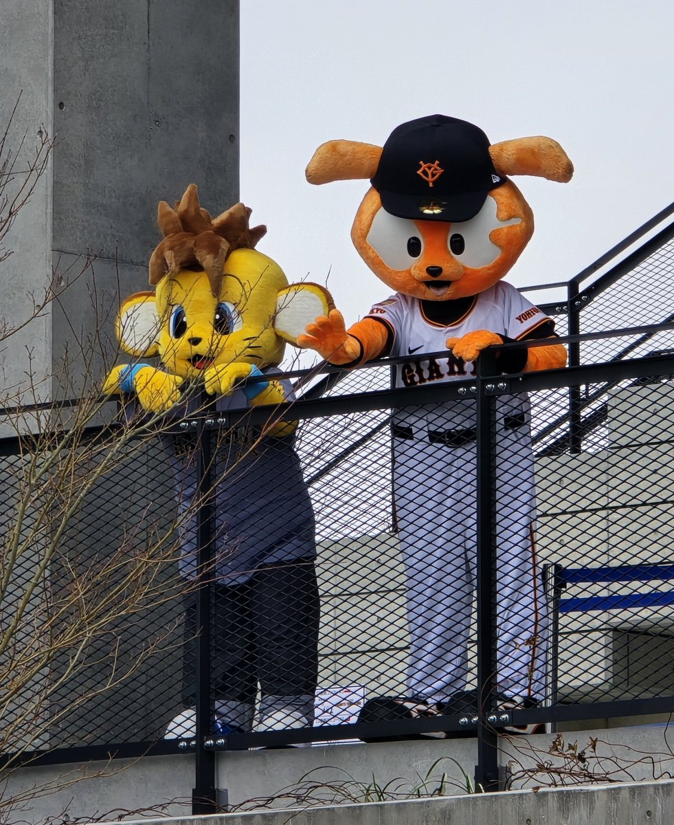 しん⚾🏀𝑠ℎ𝑜𝑤 𝑚𝑢𝑠𝑡 𝑔𝑜 𝑜𝑛(@shin_3_yg) - Twilog (ツイログ)