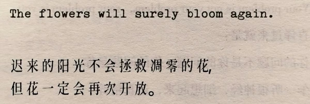 El Aguitado Quotes Elvia Alvarado Quote: “But If You Sit Around