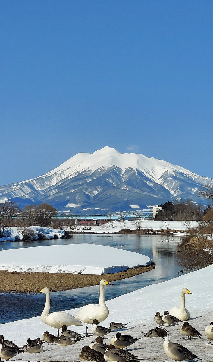 理彩(@allred_risa) - Twilog (ツイログ)