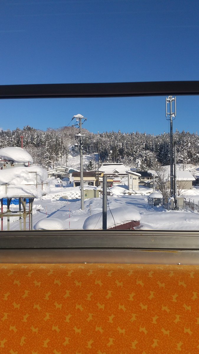 理彩(@allred_risa) - Twilog (ツイログ)