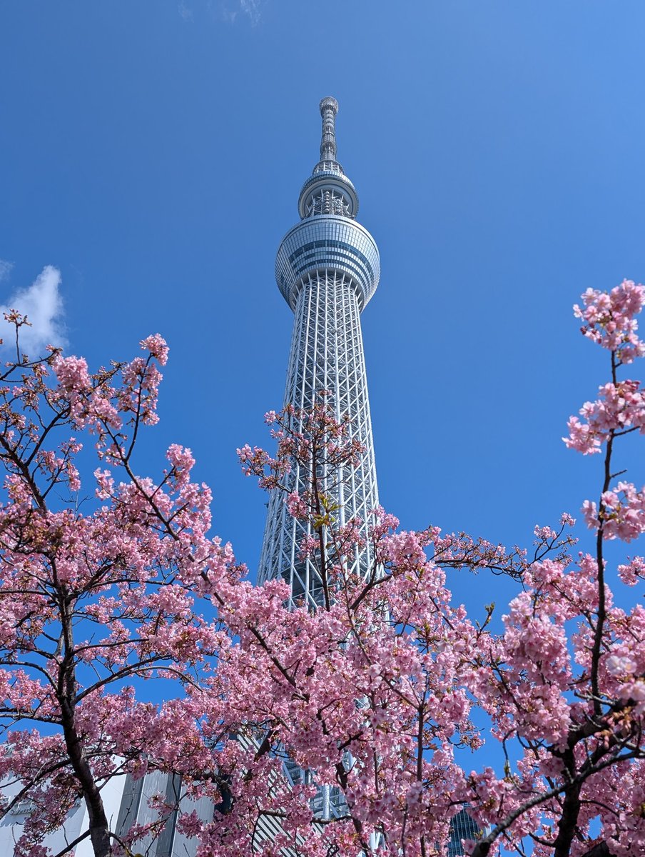 理彩(@allred_risa) - Twilog (ツイログ)