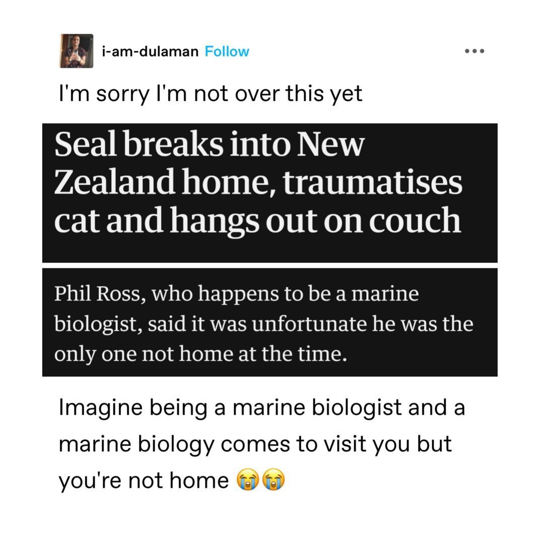 Yl Memes It's Dino Time! : R/memes