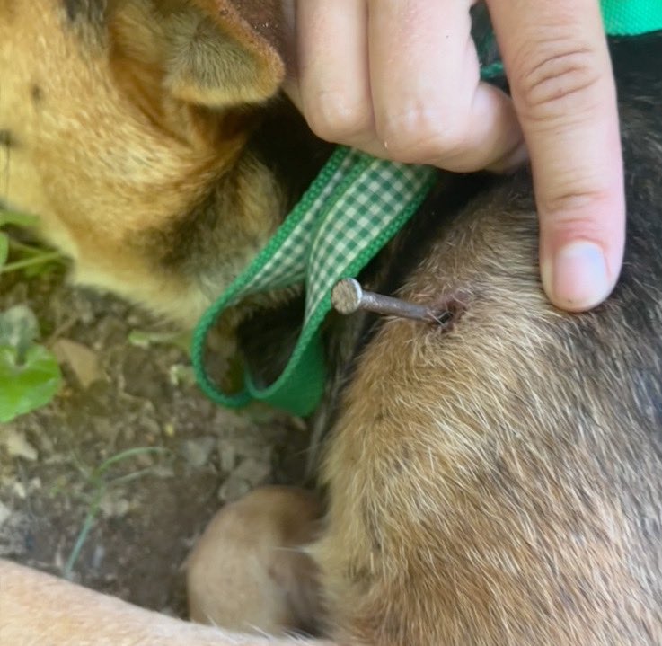 Niall Harbison's Threads – Thread Reader App