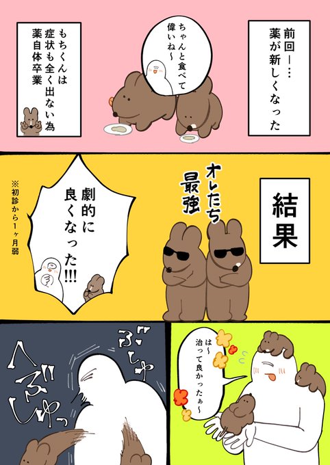 めちゃくちゃ途中からだけど、これは私がラットアレルギー発症して喘息になっ.. | あけび さんのマンガ | ツイコミ(仮)