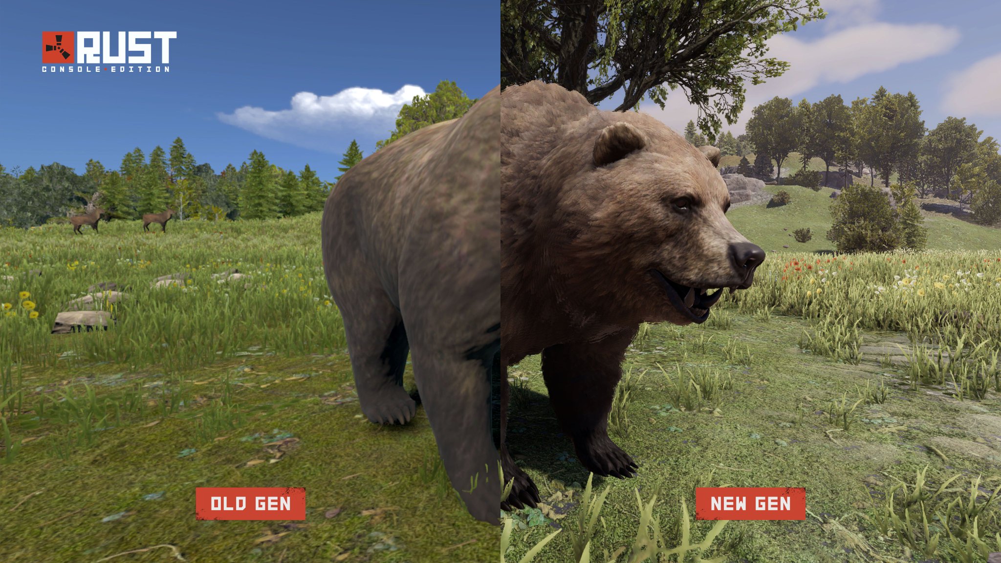 Bearz Rust