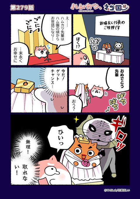 ╭━━━━━━╮ ネコ国編 ╰━ v ━━━━╯ 「ギロッ👀」.. | TMSLab(トムスラボ) さんのマンガ | ツイコミ(仮)