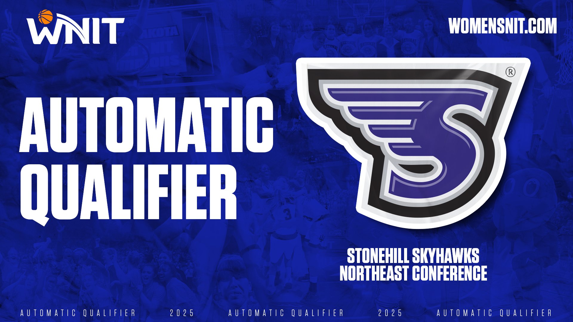Stonehill Skyhawks Logo Watch Stonehill Skyhawks Football Online