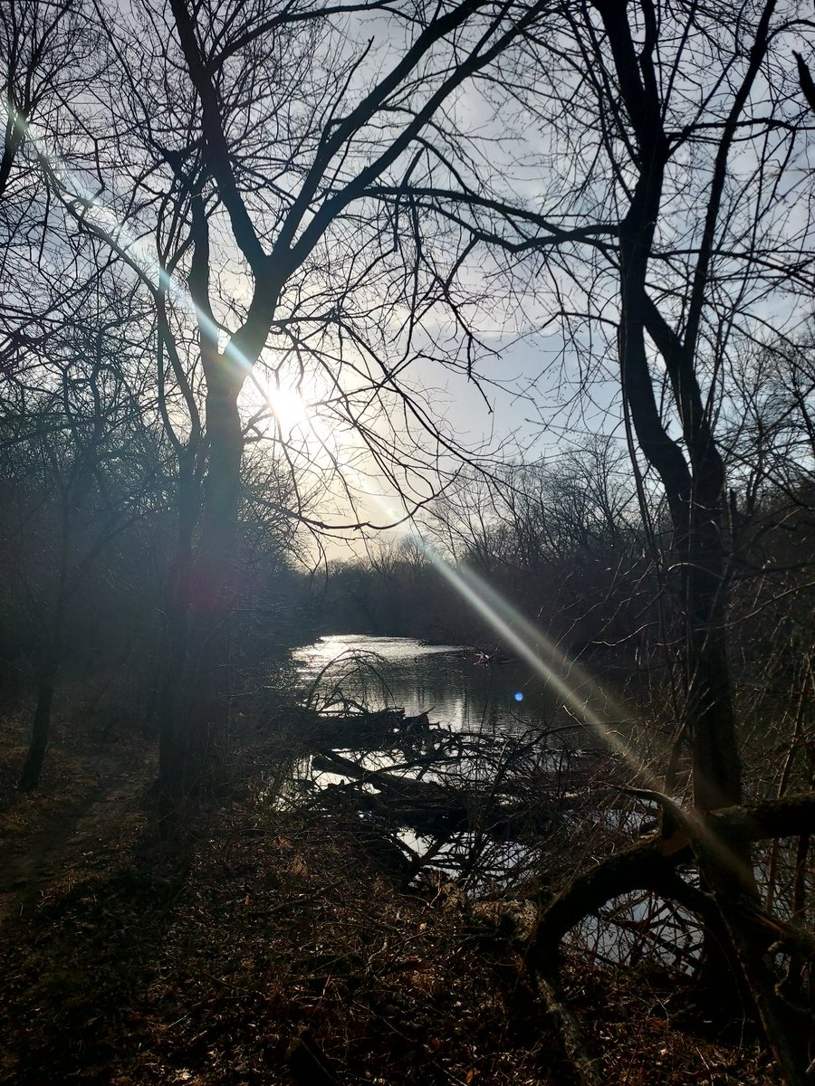 Salt Marsh Trail - Map, Guide & Virtual Tour | Halifax, Nova Scotia