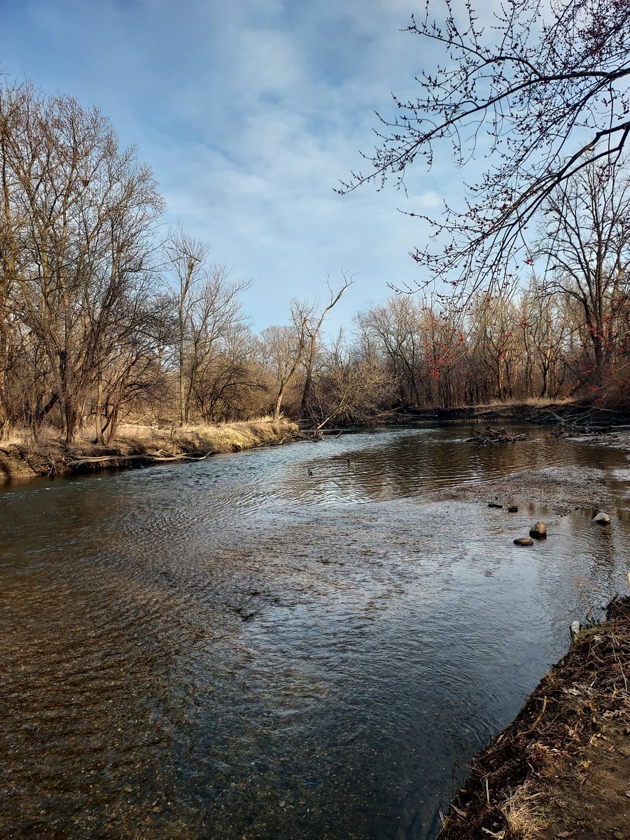 Salt Marsh Trail - Map, Guide & Virtual Tour | Halifax, Nova Scotia