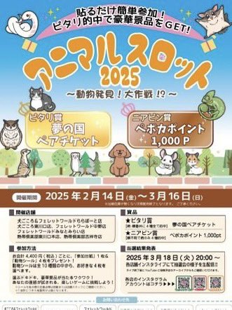 アニマルスロット - البحث / X アニマルスロット - البحث / X