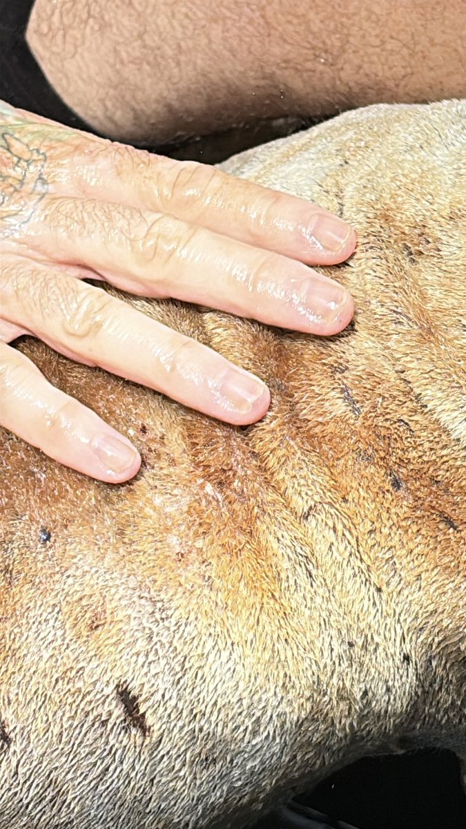 Niall Harbison's Threads – Thread Reader App