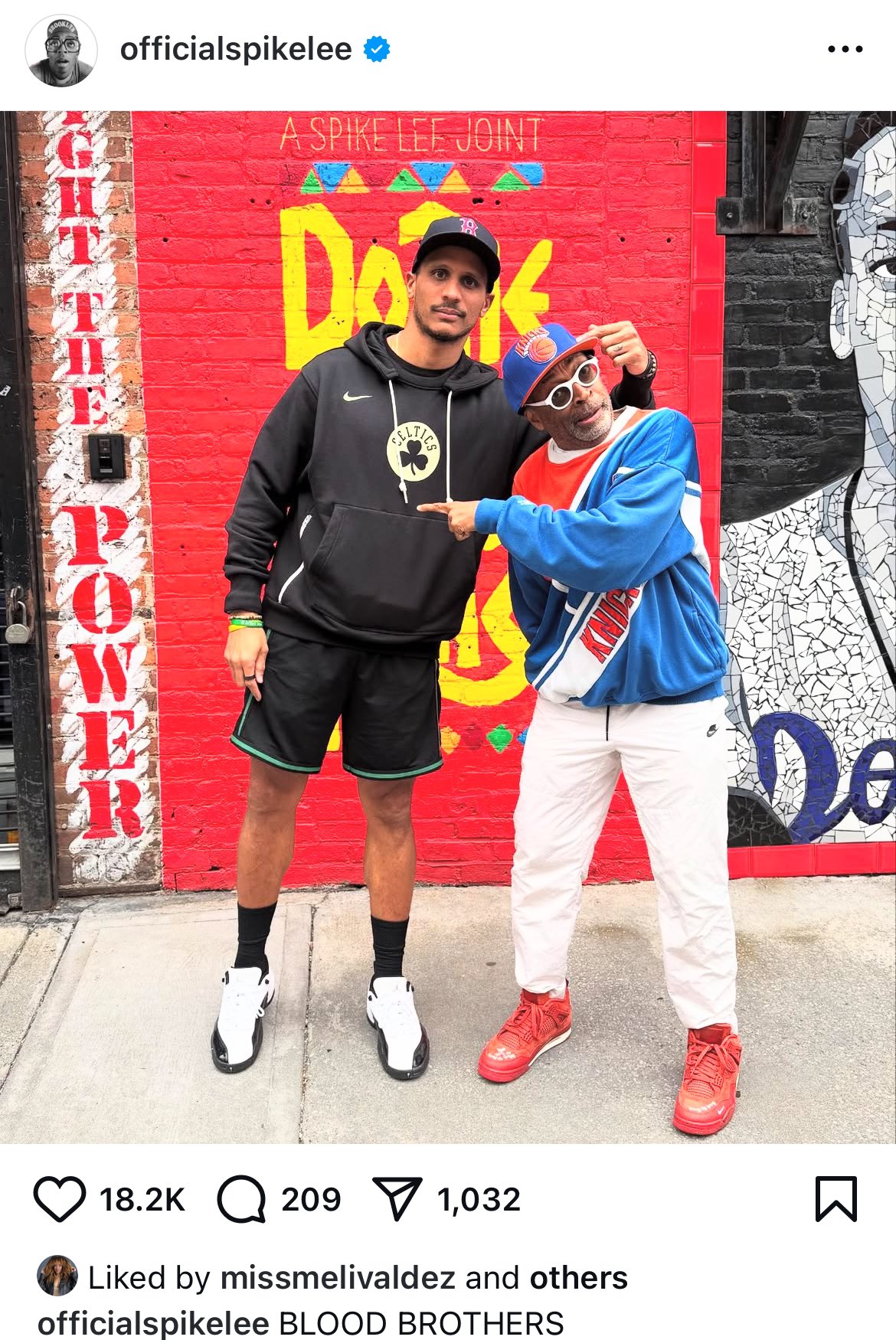 Spike Lee Brother