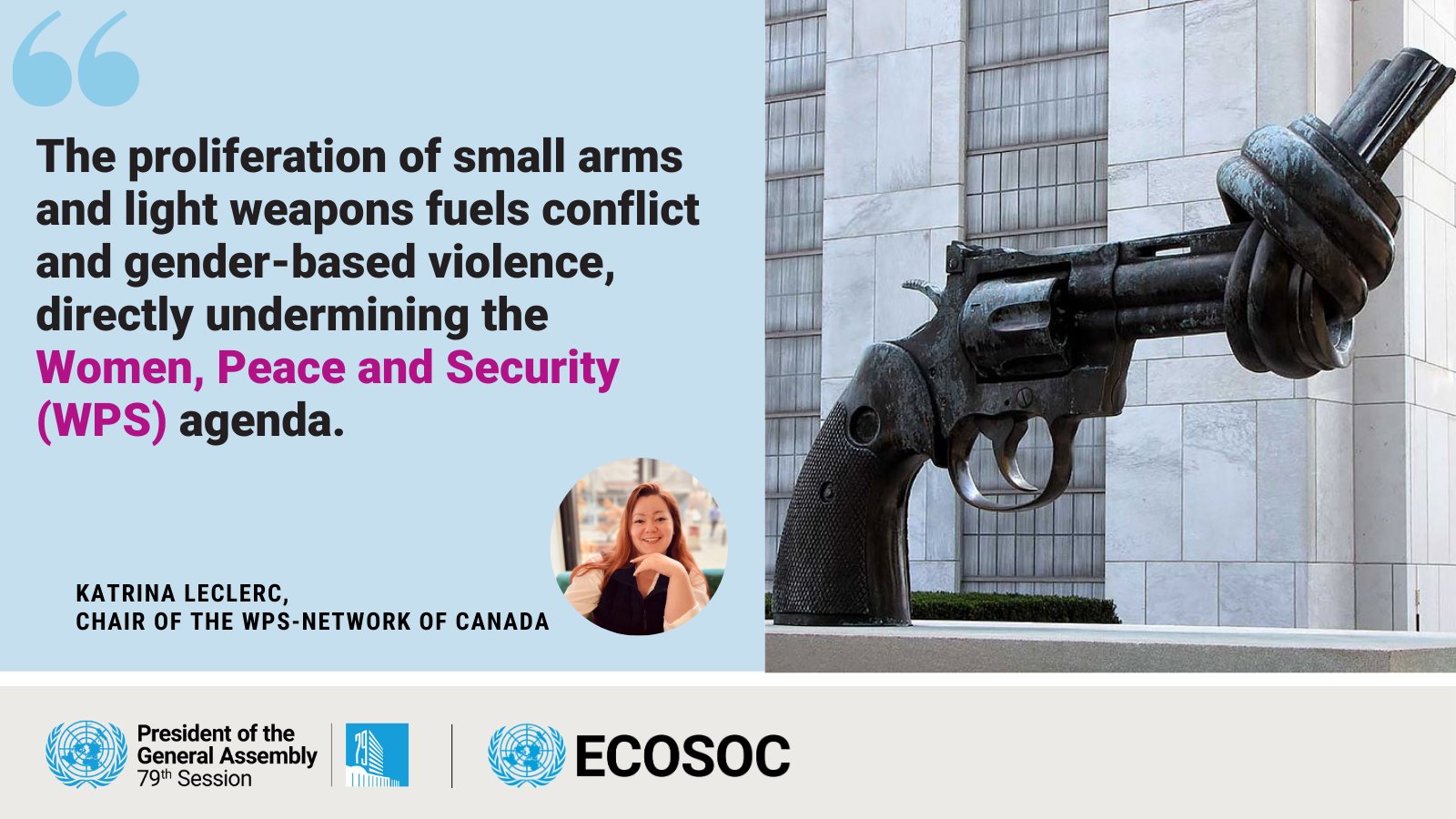 Light And Small Arms Weapons