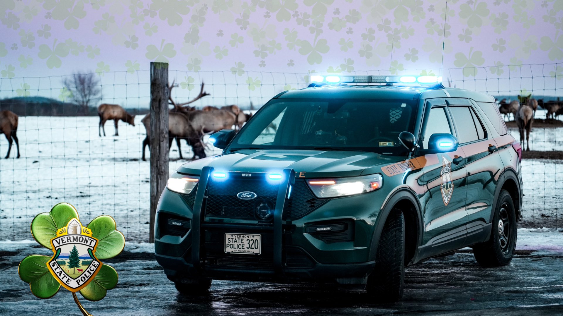Vermont State Police Cars