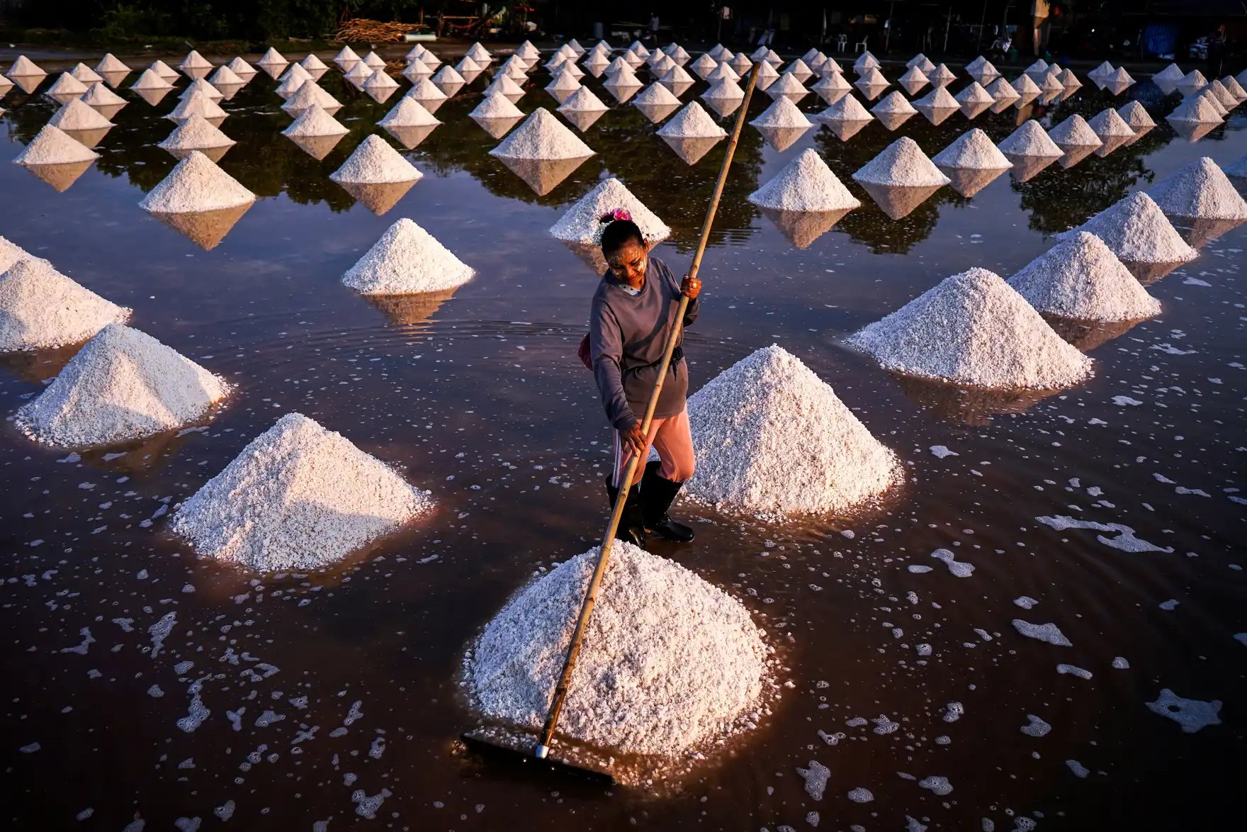 March Salt Harvesting Spring Harvest Starts In Salt Field In N China's