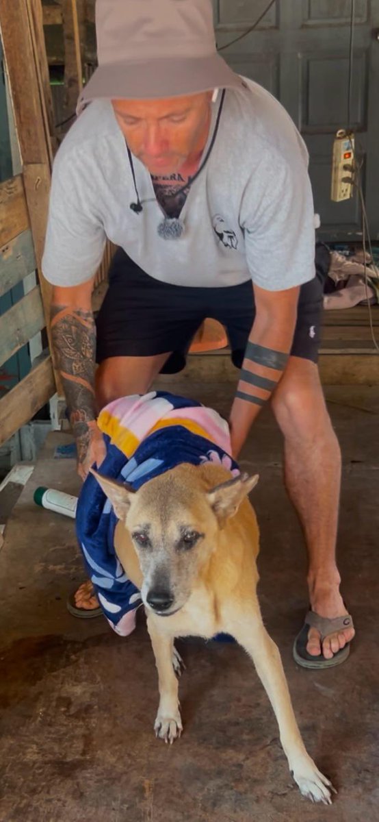 Niall Harbison's Threads – Thread Reader App