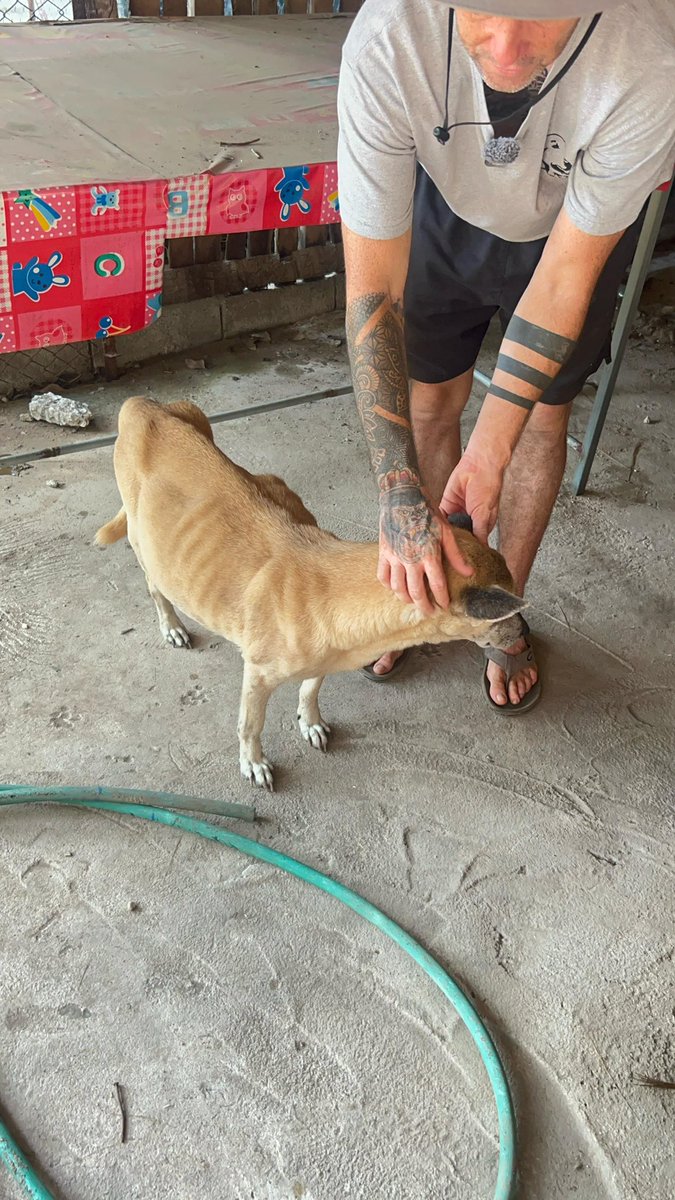 Niall Harbison's Threads – Thread Reader App