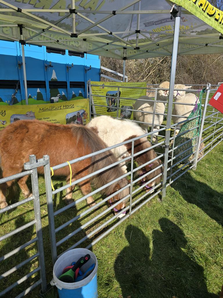 Three Lane Ends Academy - Latest News